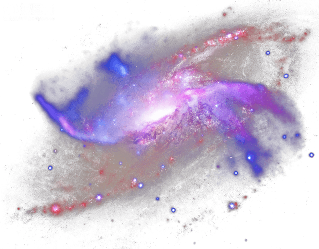 Creative Studio for Apps & Unmatched User Experience - nekikulskega